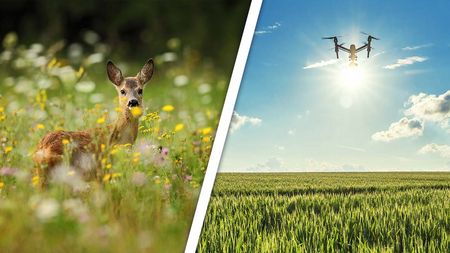 Energy & Environment | SYSGO