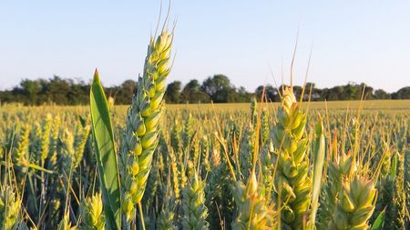 Energy & Environment | SYSGO