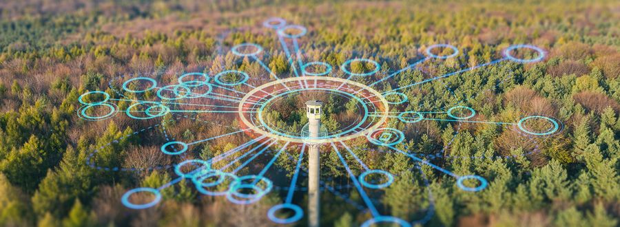 Hunger Games Arena Map 75th