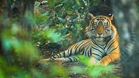 Energy & Environment | SYSGO