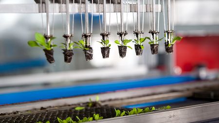 Energy & Environment | SYSGO