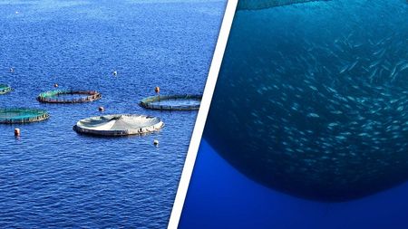 Energy & Environment | SYSGO